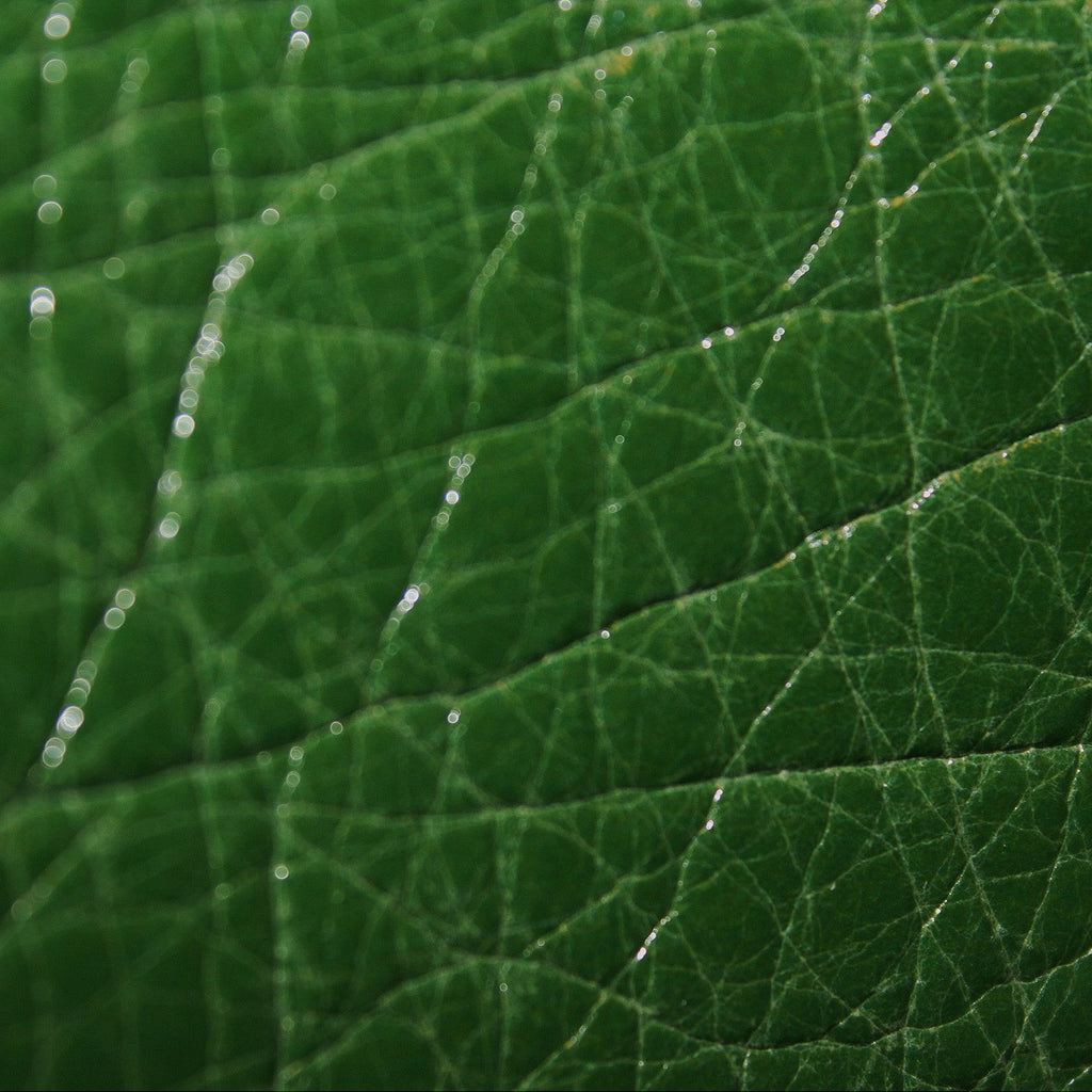 Green Textured Vinyl - Fabrics & Fabrics